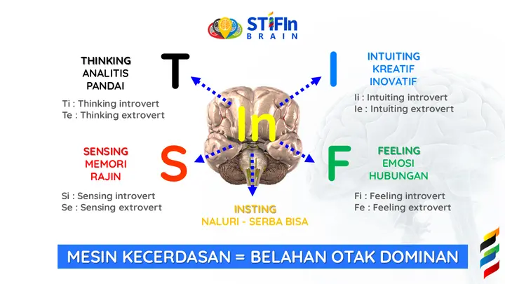 Apa Itu STIFIn, Harga Tes STIFIn 2025, Tes STIFIn Terdekat